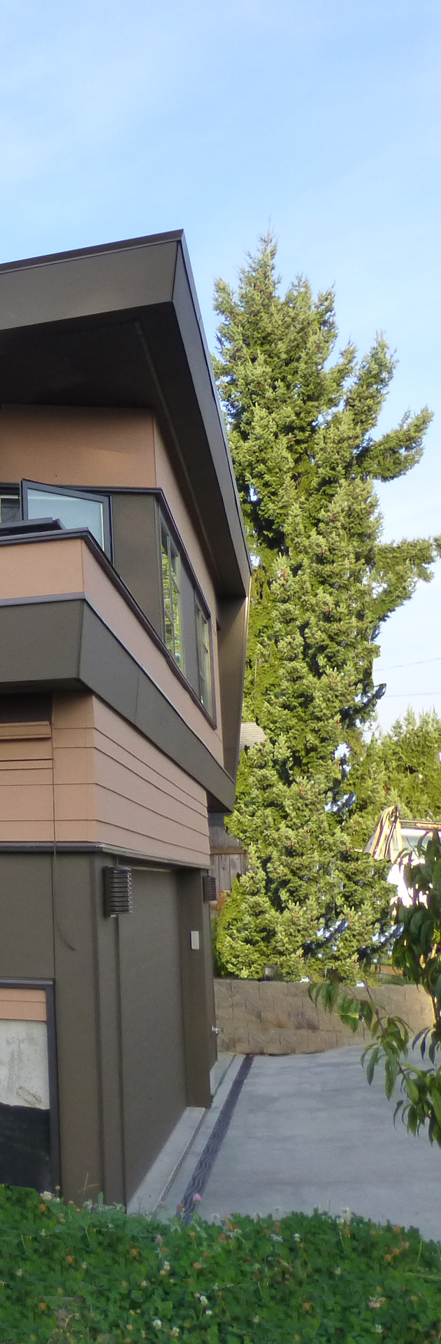 WHAT WE DO | Design Ark Inc